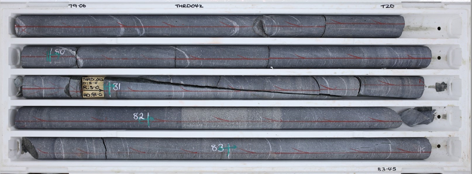 Discoverer® Fixed Camera Station | Built for Roller Racking