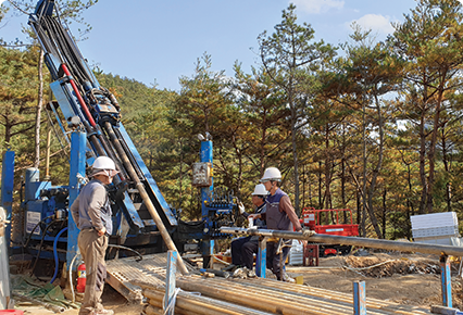 Recycled Plastic Core Trays