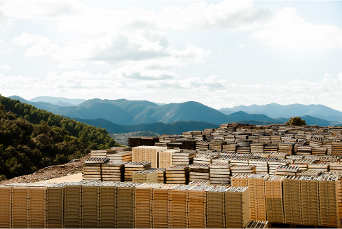 Discoverer® Kenometer | Measure Alpha & Beta Angles in One Go